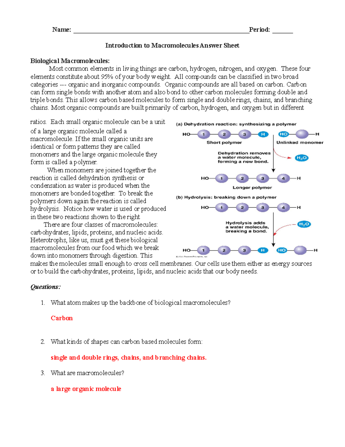 Bio Macromolecules 14-15 Tim Study worksheet Answer Key - Name: - Studocu