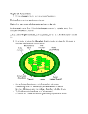 Sickle Cell Lab handout-dept F22 - MOLECULAR GENETICS PCR, Restriction ...
