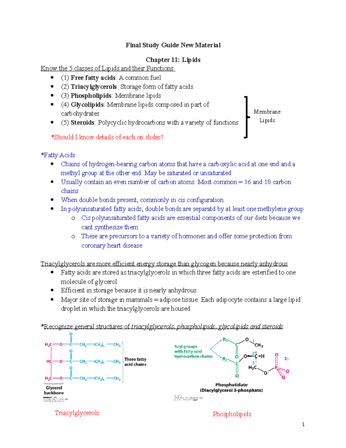 2083 Final Exam Study Guide New Material - Final Study Guide New ...