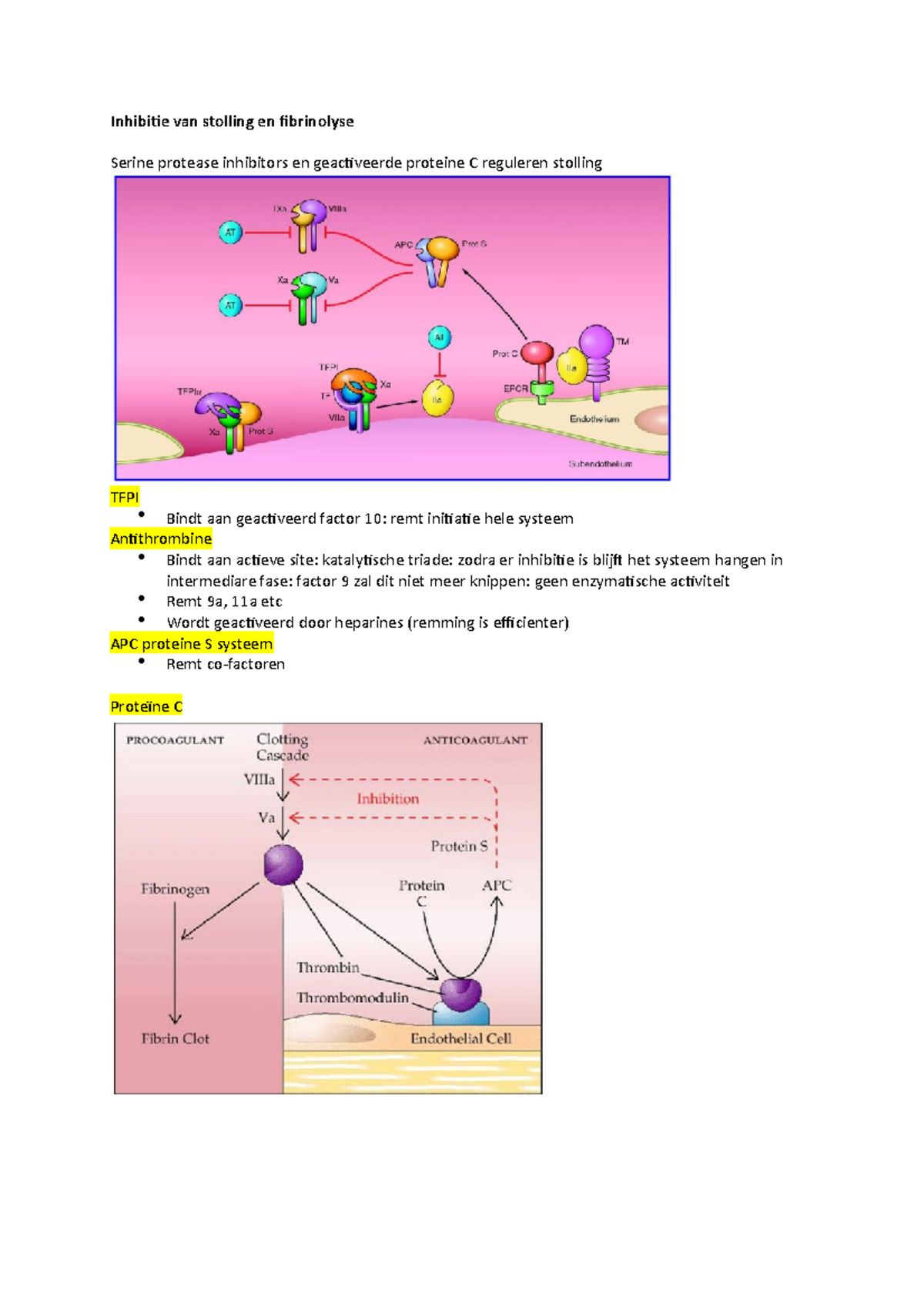 Inhibitie van stolling en fibrinolyse - Studeersnel