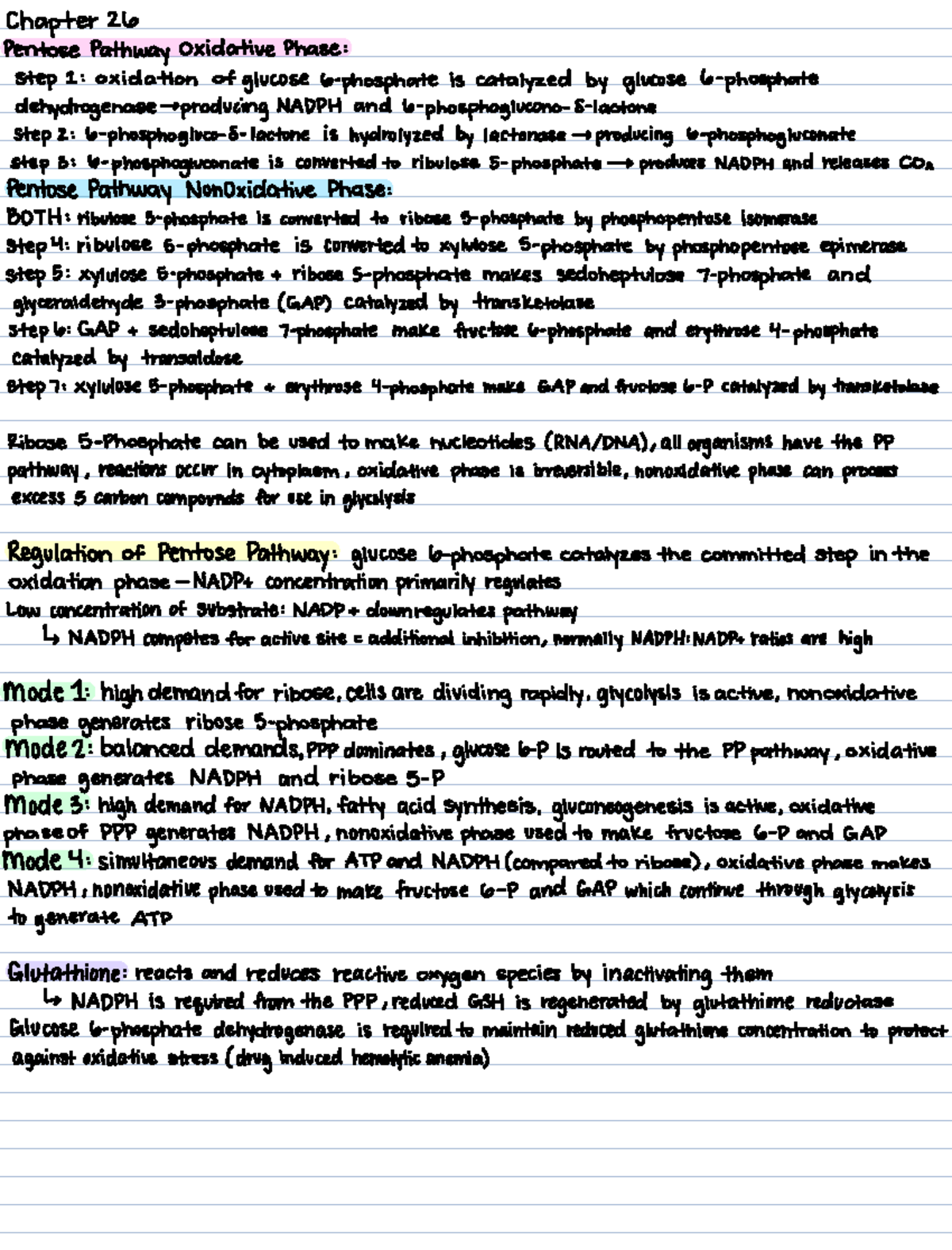 Biochemistry Exam 4 Review Notes - hapter 26 ntose ...