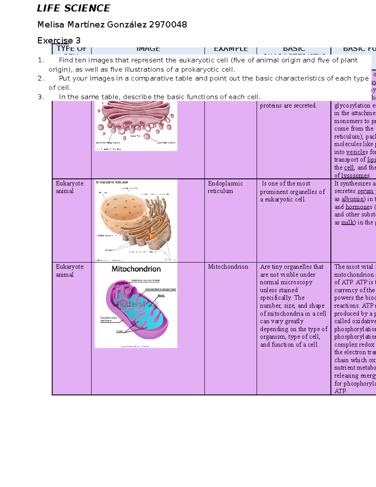 Exercise 3 - TYPE OF CELL IMAGE EXAMPLE BASIC CHARACTERISTIC S BASIC FU ...