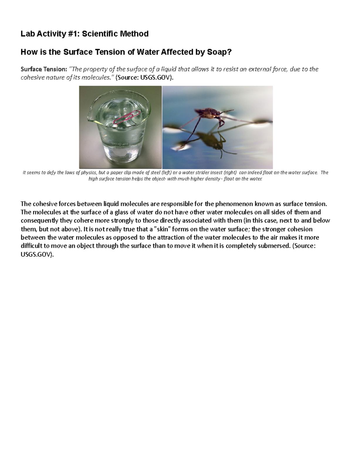 Lab Activity 1 - Scientific Method-1 - Lab Activity #1: Scientific ...