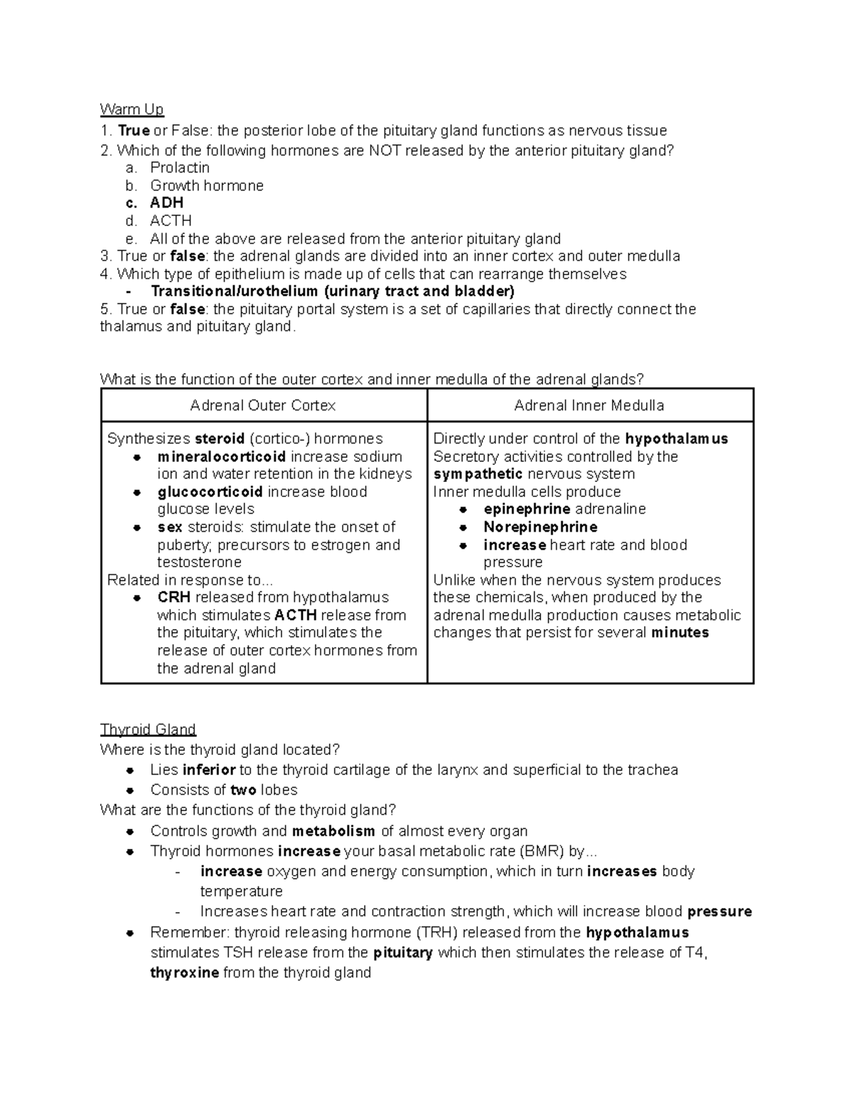 Anatomy SI Session - Warm Up True or False: the posterior lobe of the ...