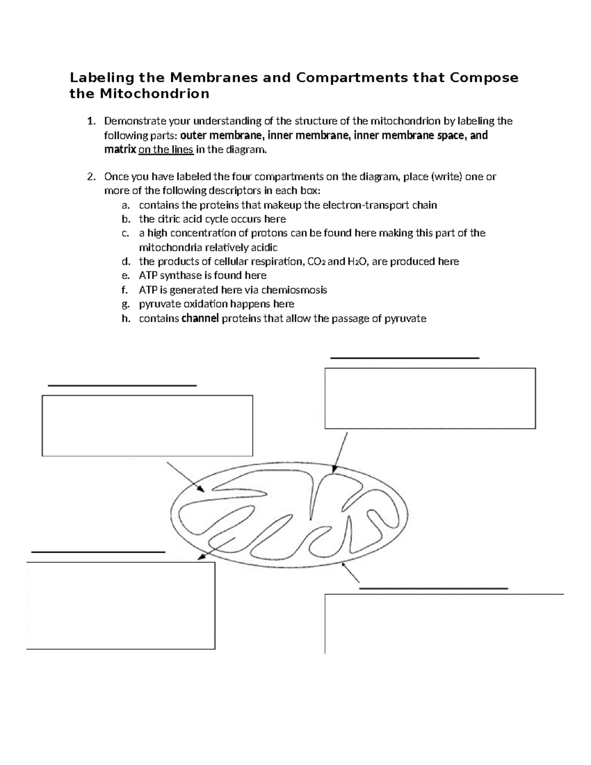 Labeling the Membranes and Compartments that Compose the Mitochondrion ...