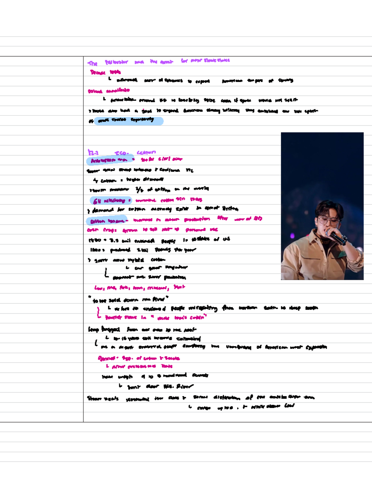 History Notes 12 - The economics of cotton - The filibuster and the ...