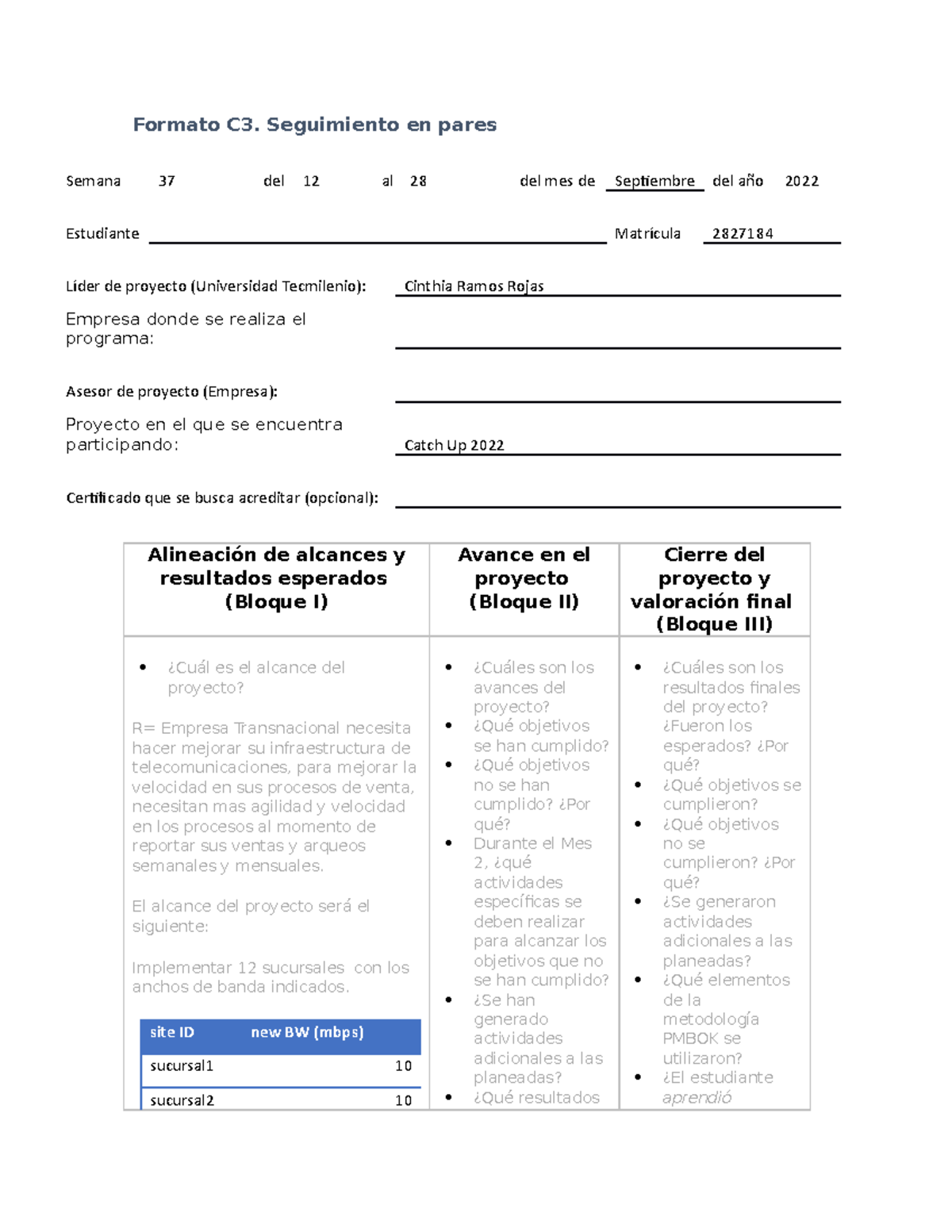 Formato C 3 - Proyecto terminal bloque llProyecto terminal bloque ...