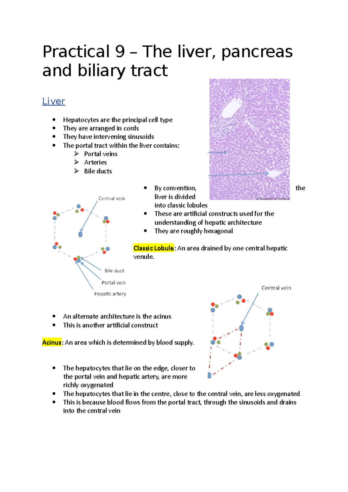 Practical 9 – The Liver, pancreas and biliary tract - Practical 9 – The liver, pancreas and ...