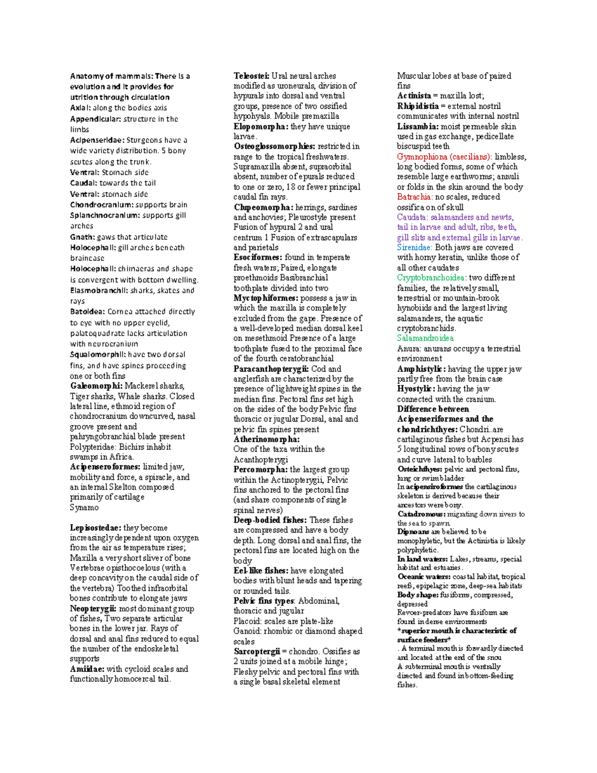 Zoology cheat sheet 212 - Anatomy of mammals: There is a evolution and ...