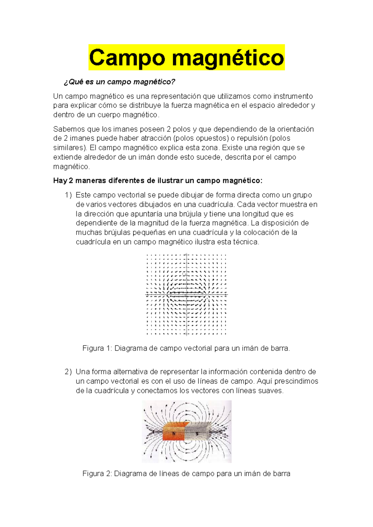Campo Magnetico Della Barra Magnetica