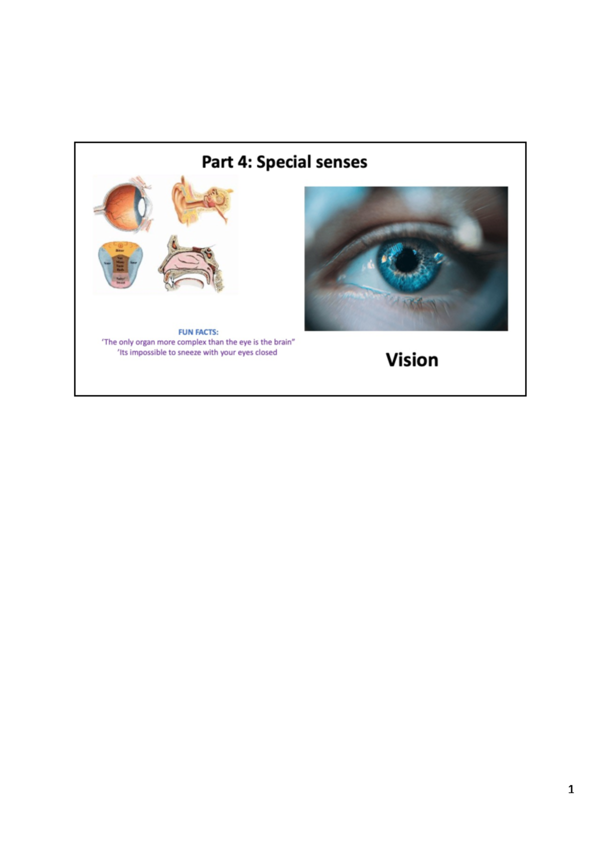 Part 4- Visionary notes - Each eye has a spherical , fluid-filled ...
