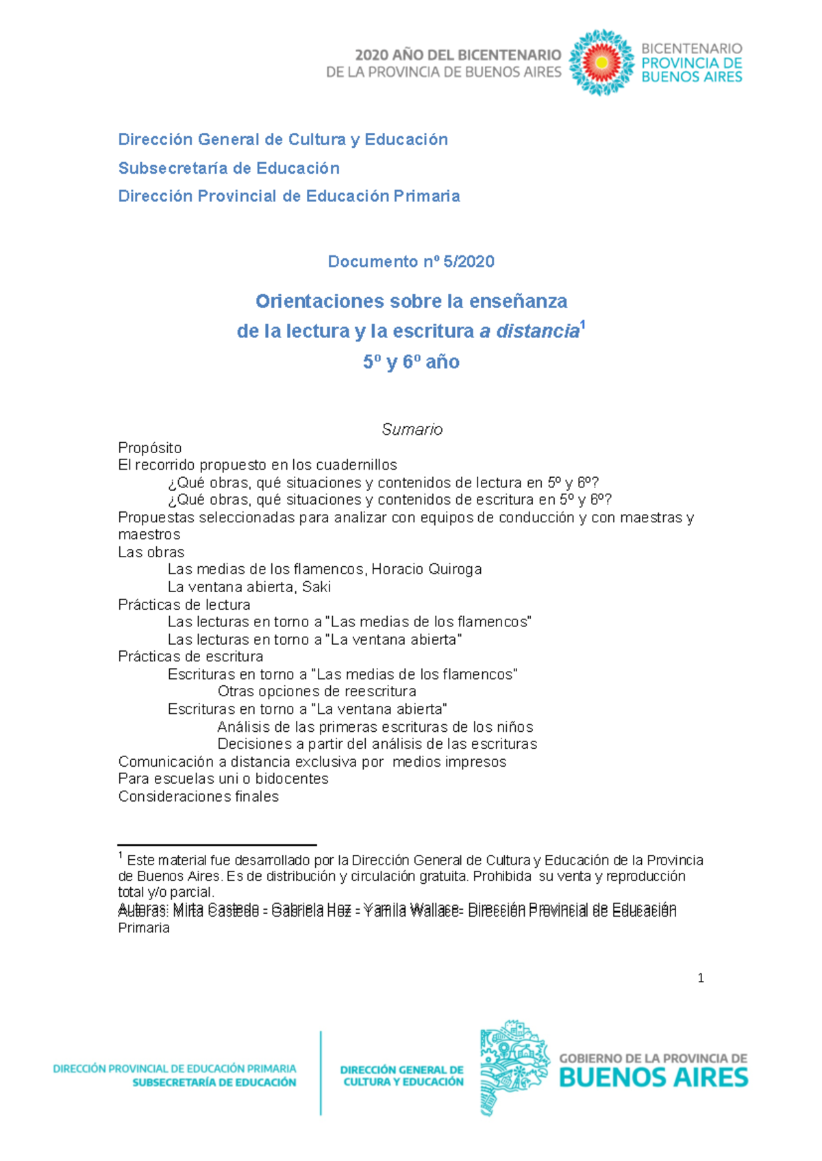 Documento N° 5 20 Orientaciiones sobre la enseñanza de la lectura y la ...
