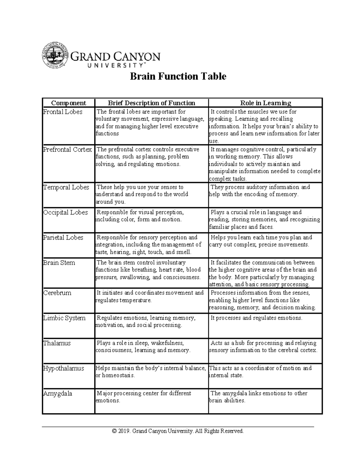 SEC-201-T2-RS-Brain Function Table - Brain Function Table Component ...