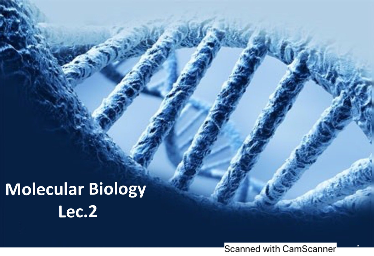 Transcription and RNA processing - Molecular Biology Lec Scanned with ...