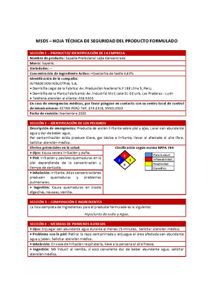 1.Application Form JICA esp - Application Guideline for the JICA ...