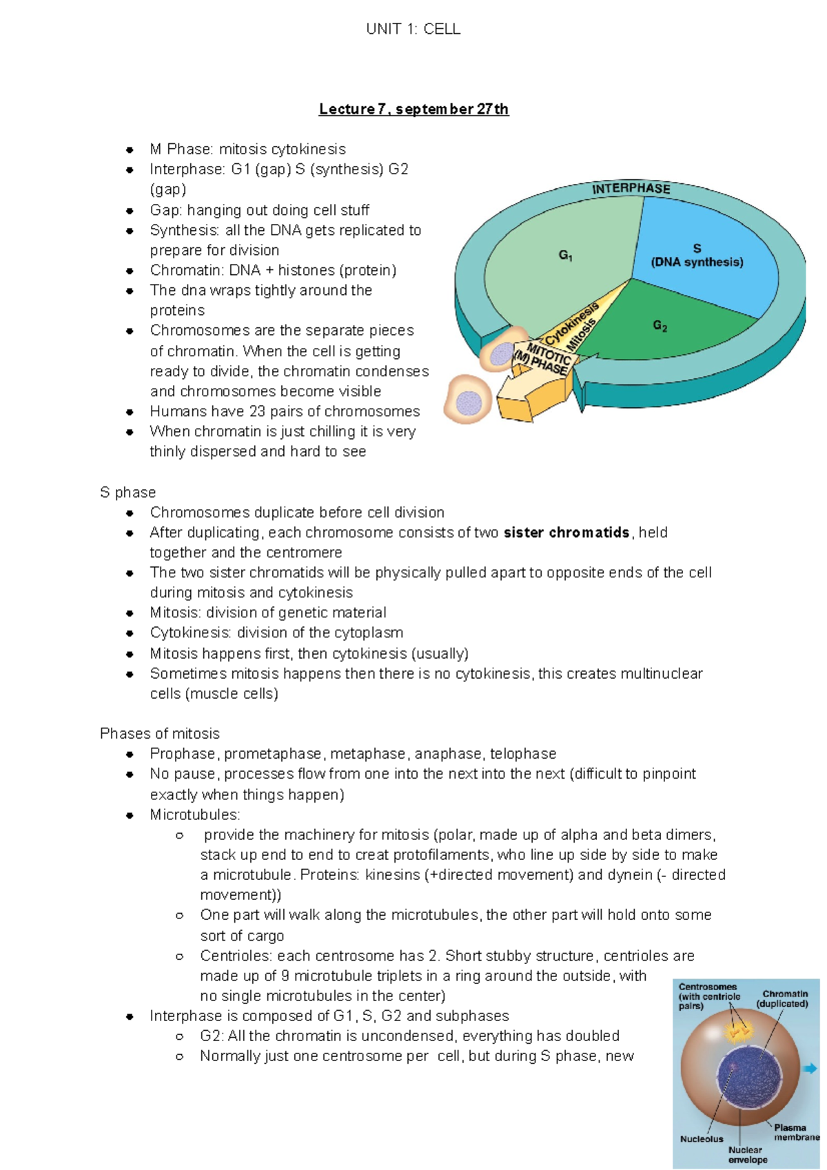 The Cell Cycle (lec7) - Lecture notes 7 - Lecture 7, september 27th M ...