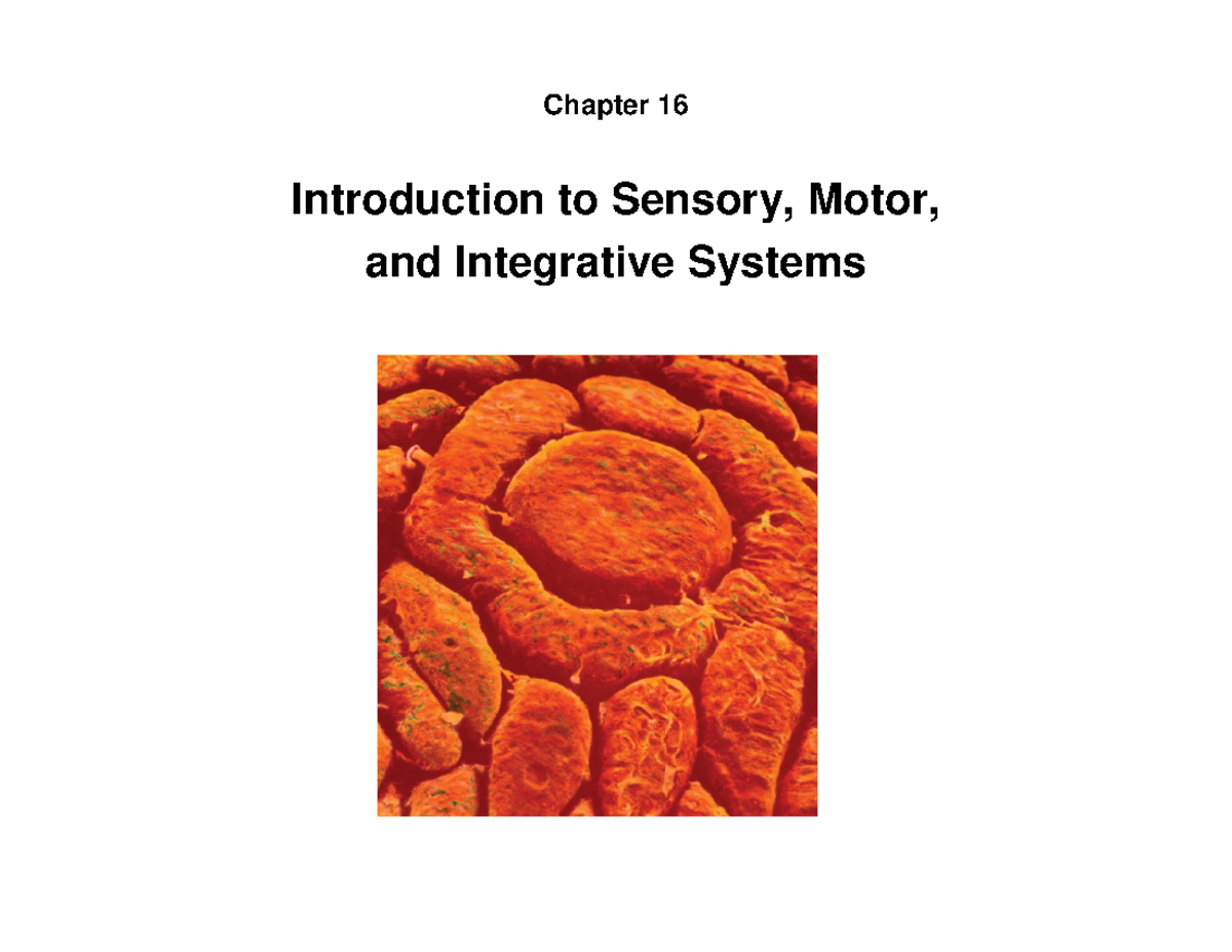 Inbound topic descriptiom - Chapter 16 Introduction to Sensory, Motor, and Integrative Systems ...