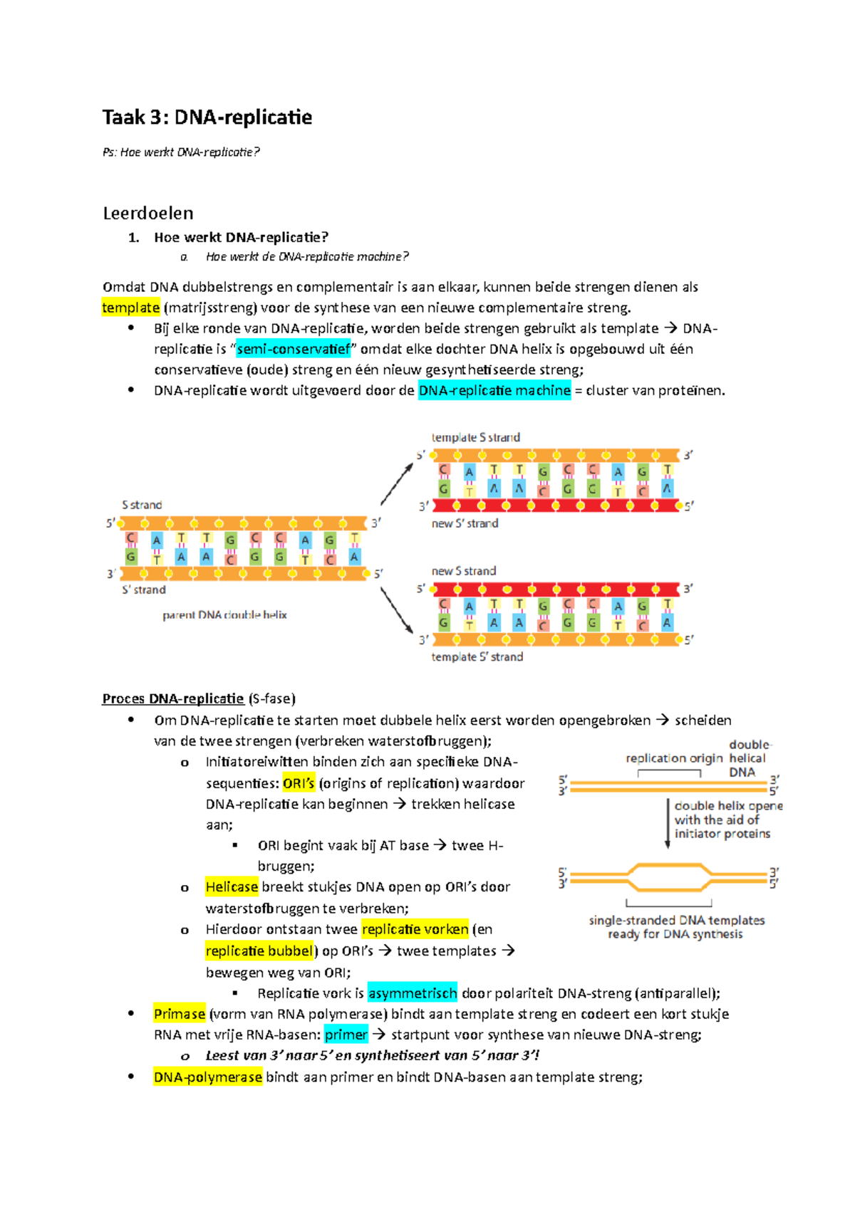 Taak 3 - DNA-replicatie - Taak 3: DNA-replicatie Ps: Hoe werkt DNA-replicatie? Leerdoelen Hoe ...