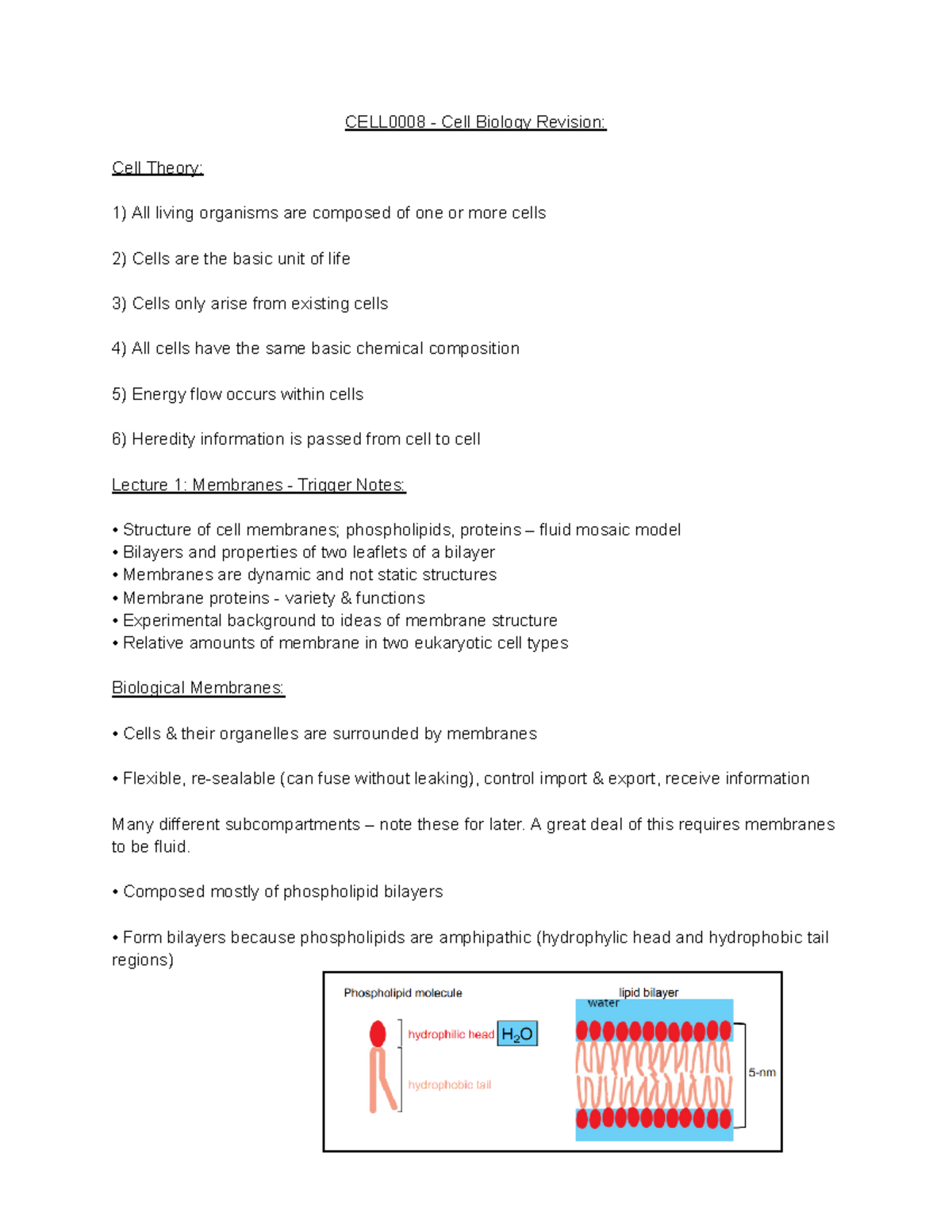 CELL0008 - Cell Biology Revision - A great deal of this requires ...