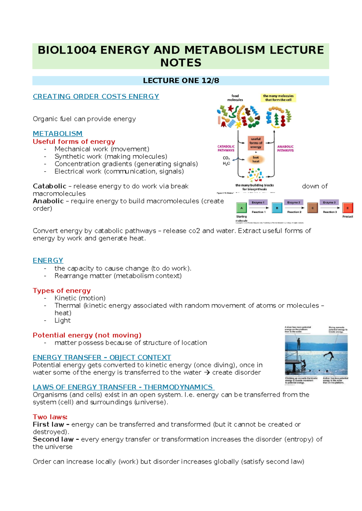 BIOL1004 Energy and Metabolism Lecture Notes - BIOL1004 ENERGY AND ...