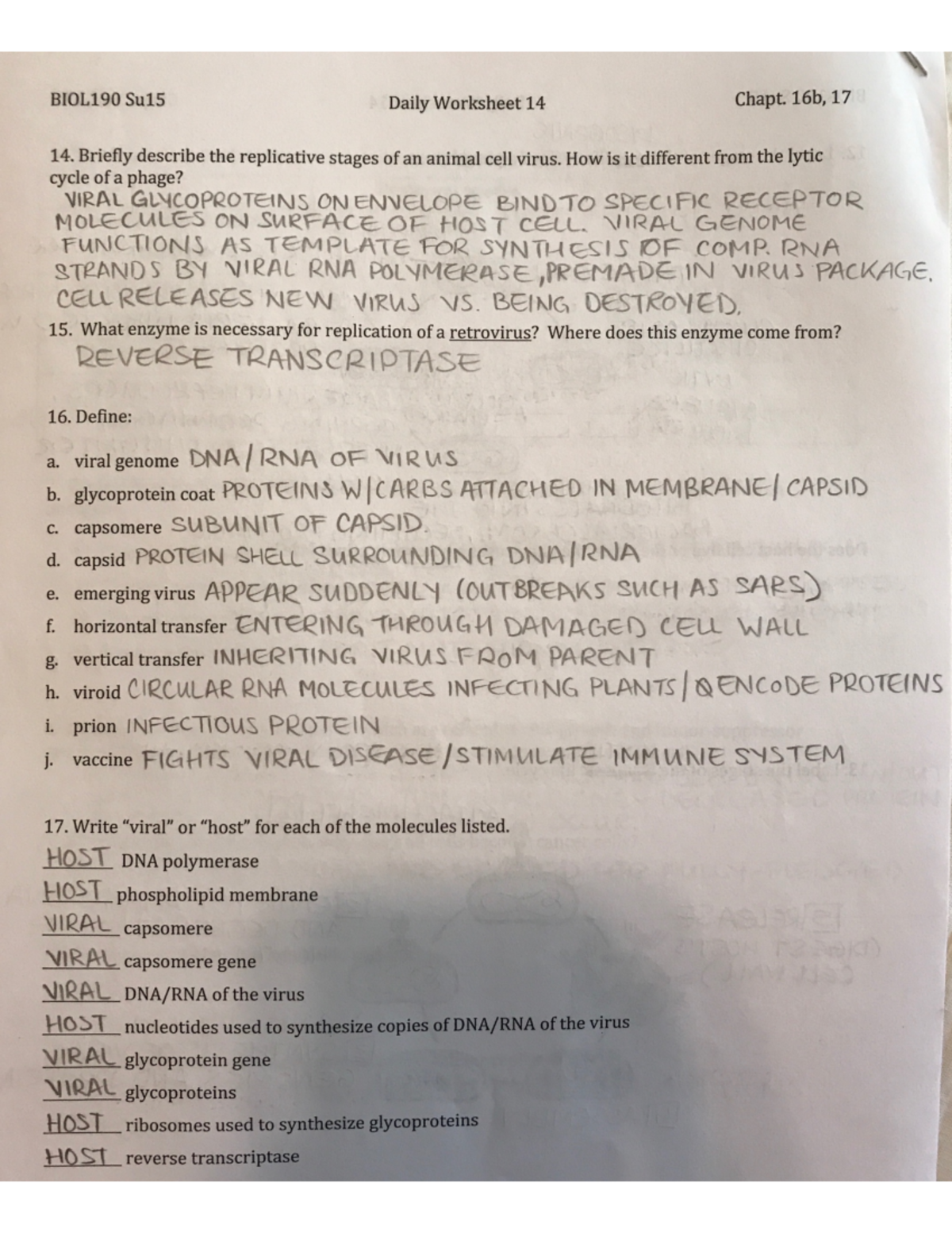 Biol190d - Summer session worksheet - 310L190 Su15 Daily Worksheet 14 ...