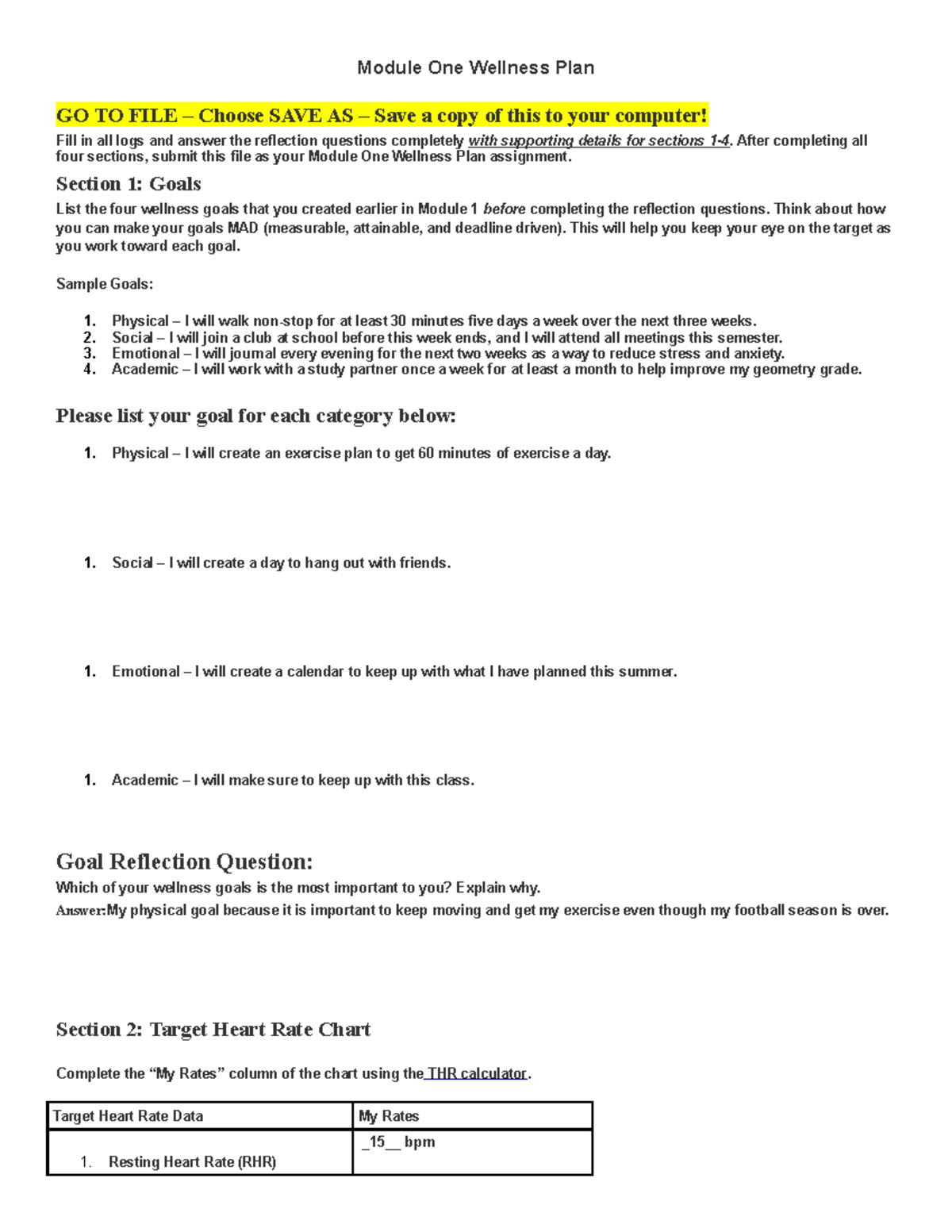 Copy of 1.09 Wellness Plan - Module One Wellness Plan GO TO FILE ...