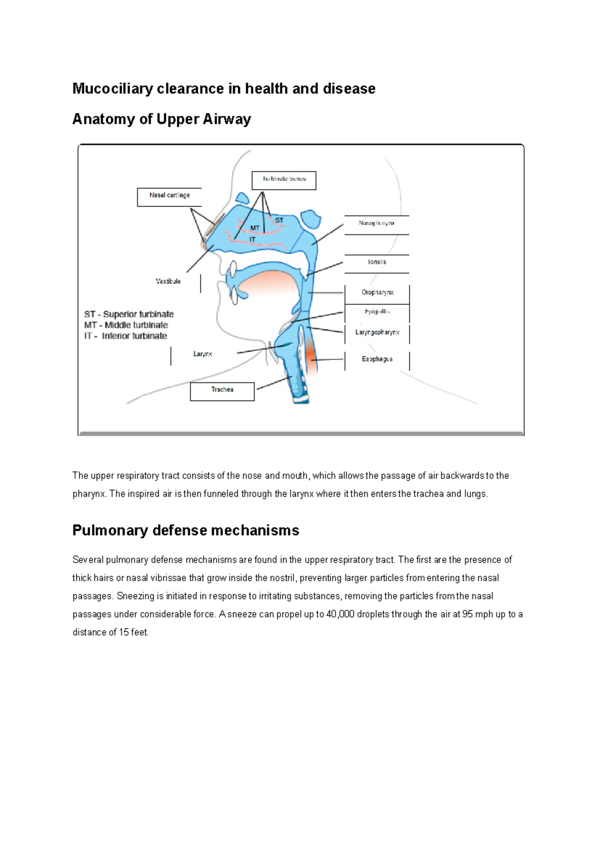 Mucociliary clearance in health and disease - The inspired air is then funneled through the ...