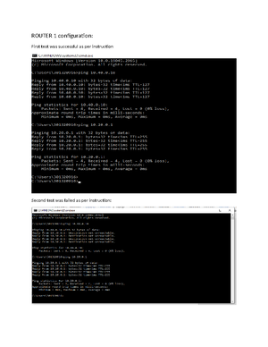 13.3.2 Lab - Use Ping and Traceroute to Test Network Connectivity ...