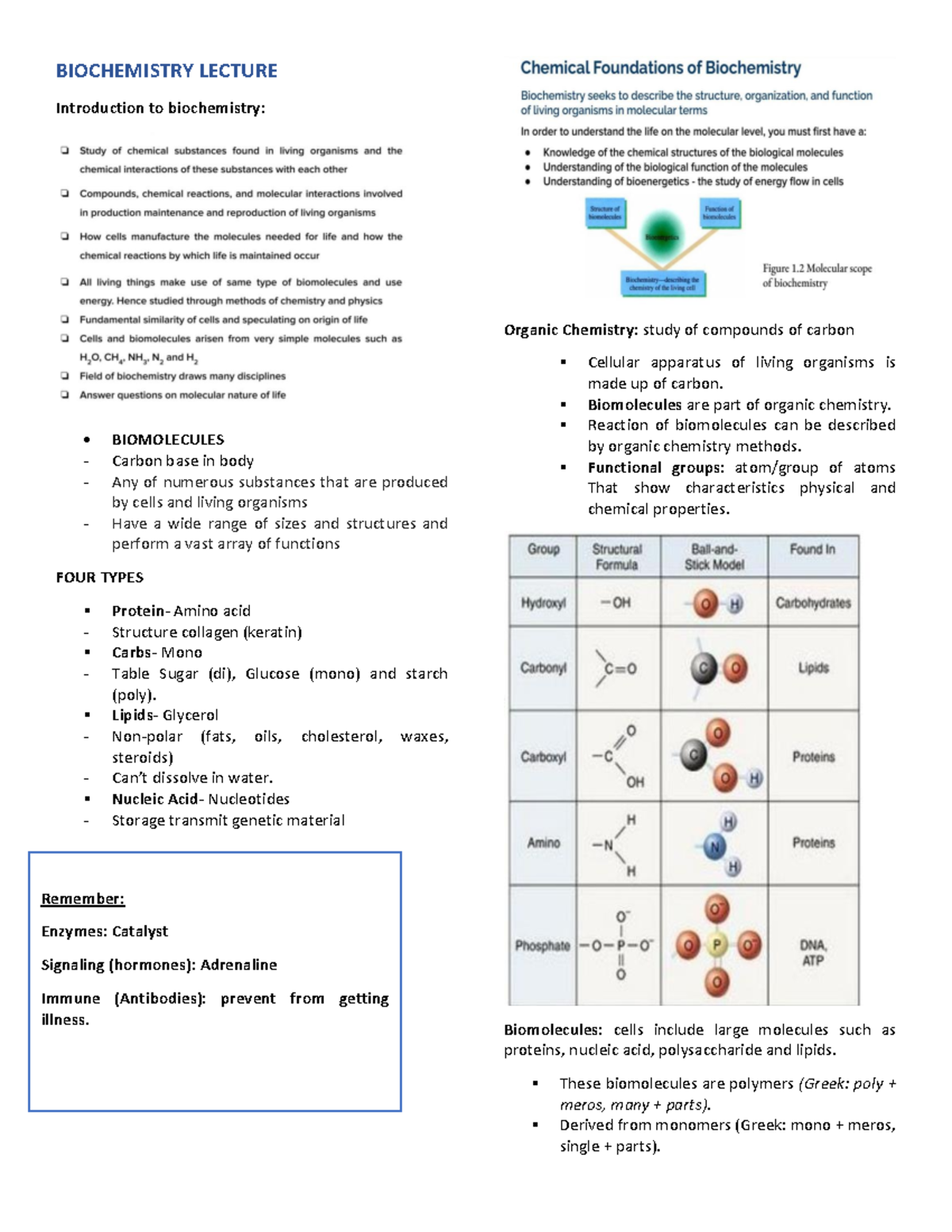 Lec-Reviewer - Additional information - BIOCHEMISTRY LECTURE ...