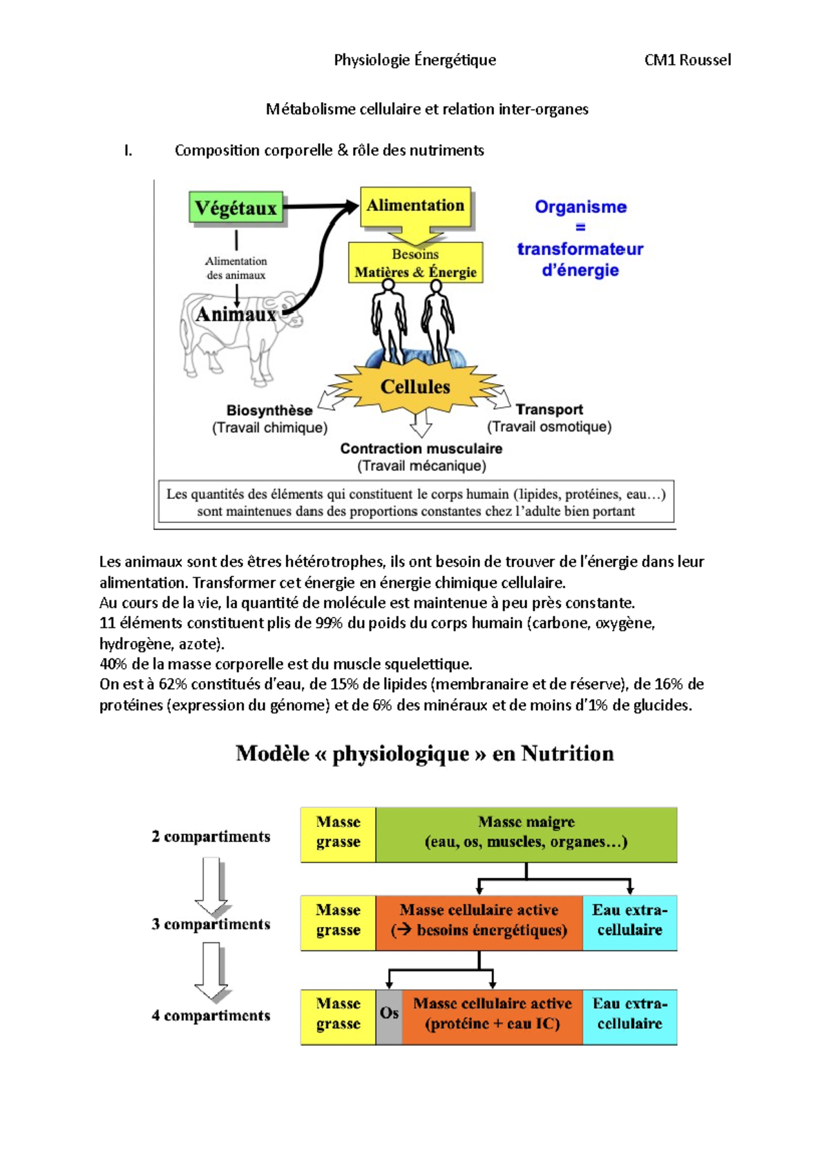 Métabolisme CM1 Roussel - Métabolisme cellulaire et relation inter-organes I. Composition ...