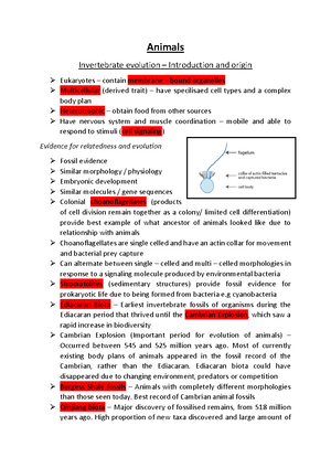 Locust Dissection Notes - Locust Dissection Notes General Functions ...