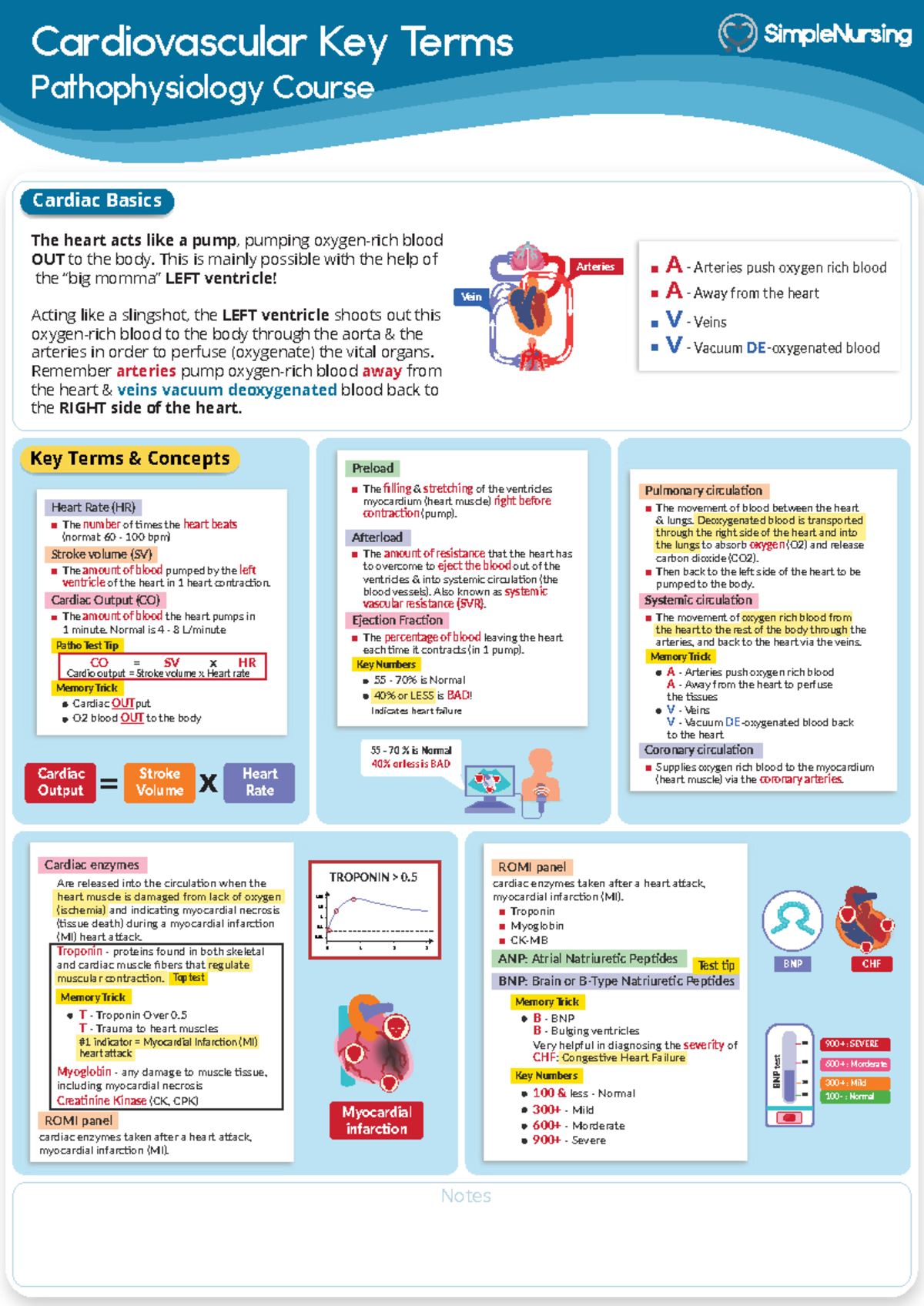Patho - Cardiovascular Disorders - Cardiovascular Key Terms ...