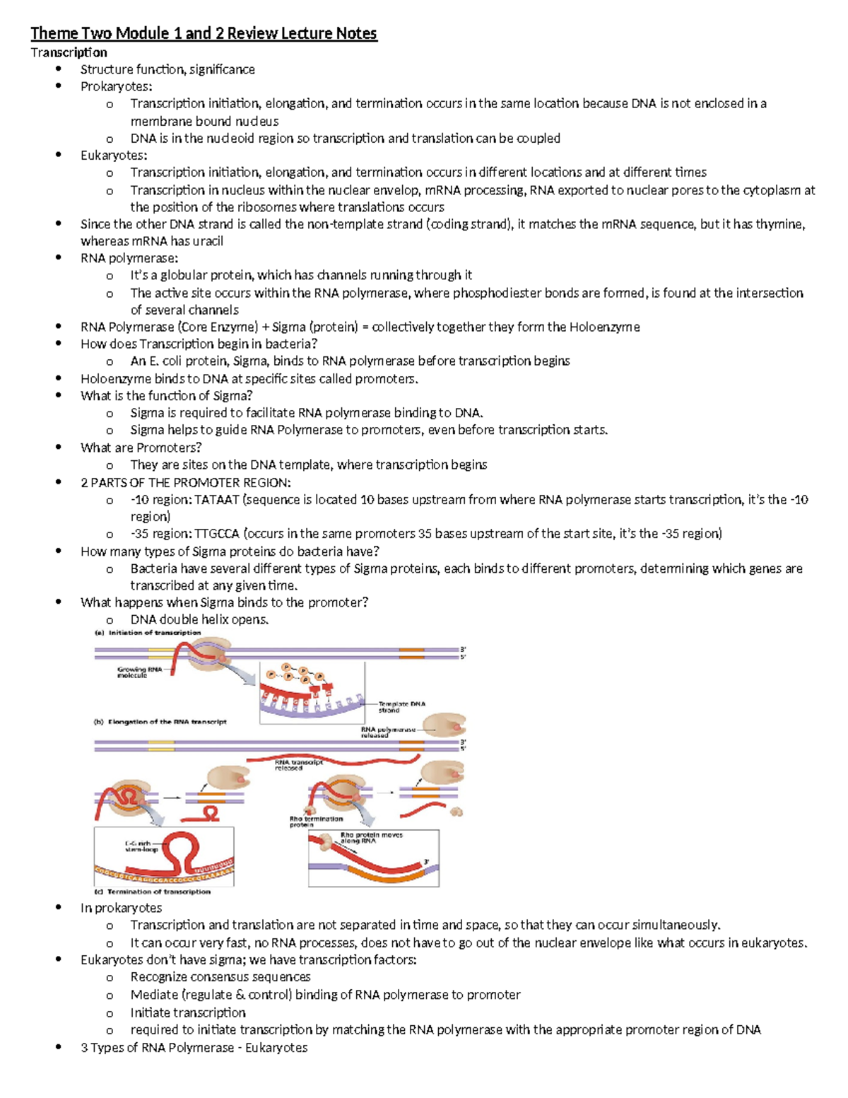 T2 Rev.App. Notes - Theme Two Module 1 and 2 Review Lecture Notes ...