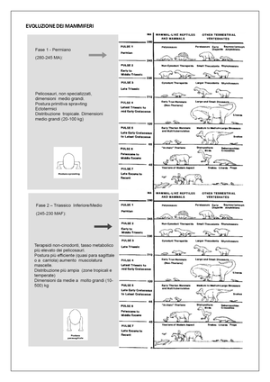 Mappe su agnati, gnatostomi, anfibi con foto - AGNATI conodonti ...