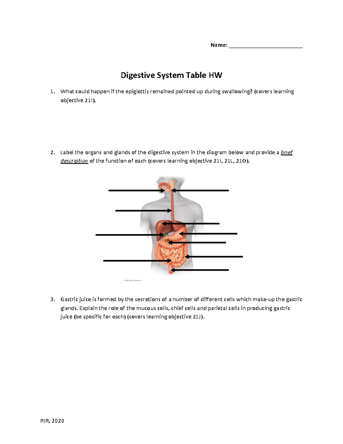 Digestive System Table - PJR, 2020 Name ...