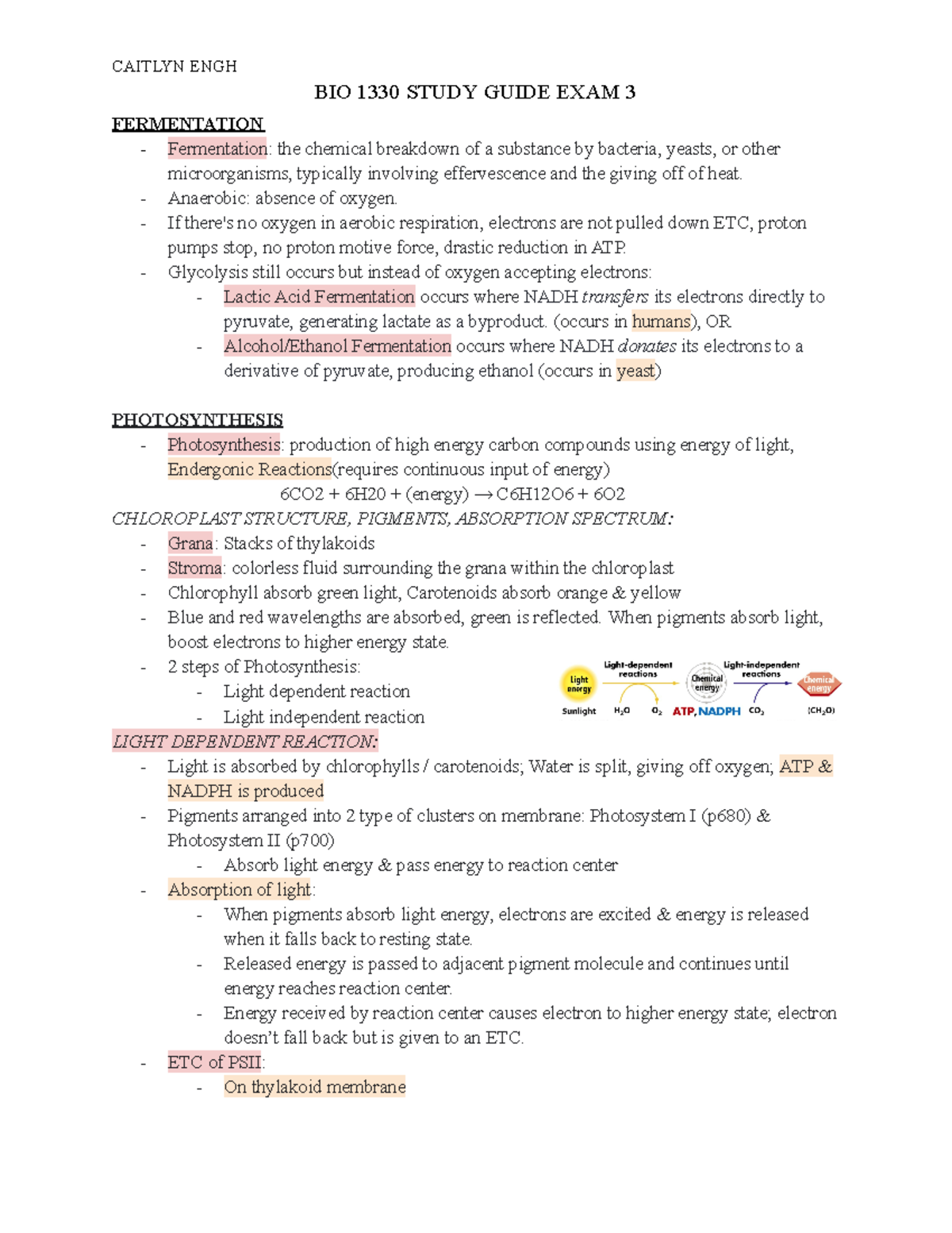 Functional Biology 330 Exam 4 Notes/Study Guide - CAITLYN ENGH BIO 1330 ...