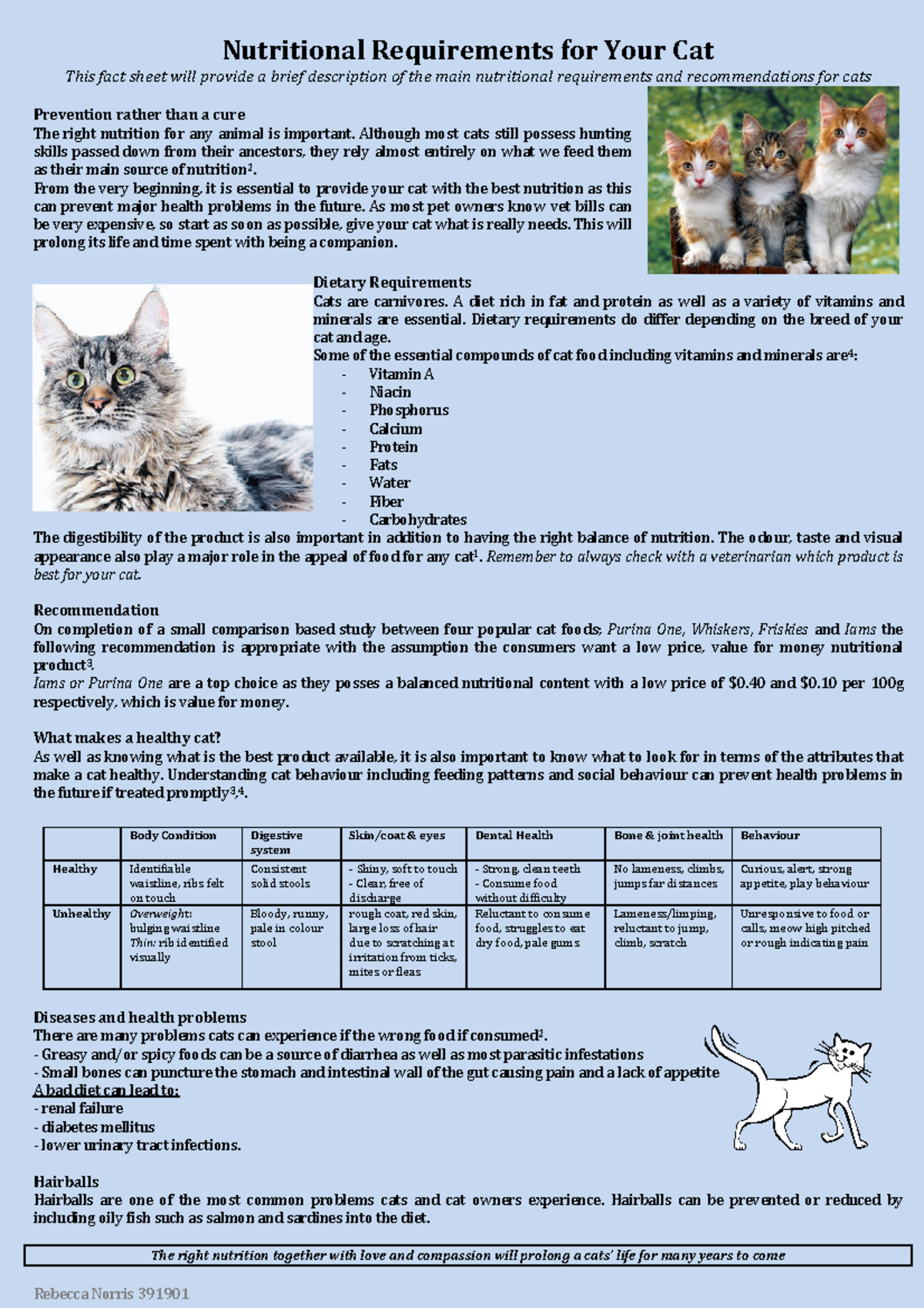 Assignment 2 Example 21-1 - Nutritional Requirements for Your Cat This ...