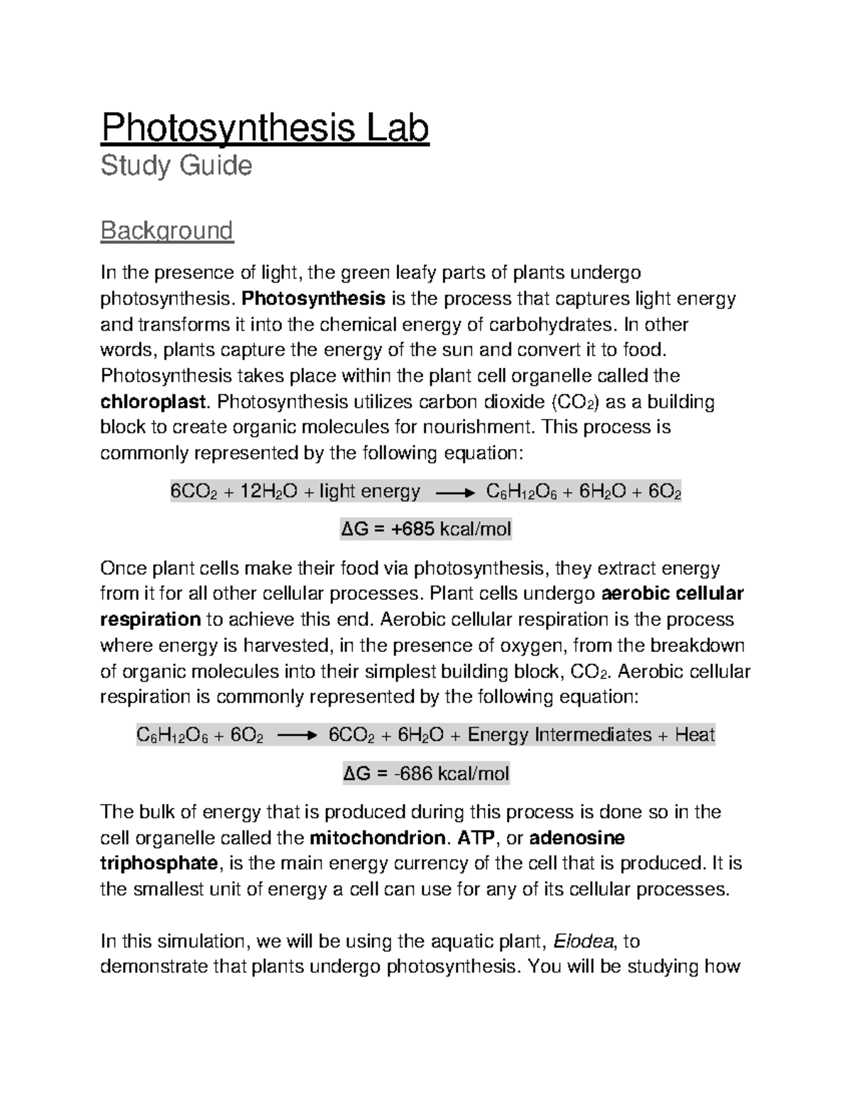 Lab+8+-+Photosynthesis+Lab+Study+Guide - Photosynthesis Lab Study Guide ...
