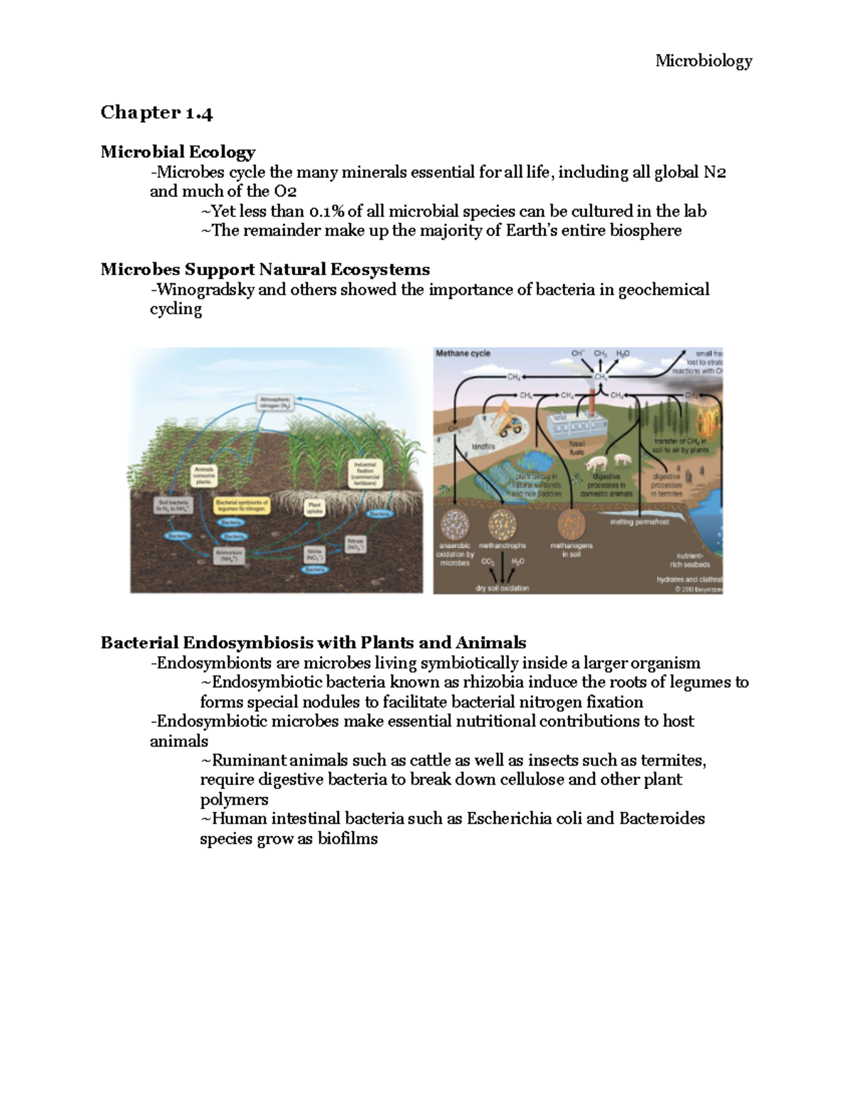 Micro 1.4 Outline - Microbiology Chapter 1. Microbial Ecology -Microbes ...