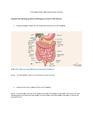ACS Case Study - Individual Experiential Lab Concept Maps & Case ...