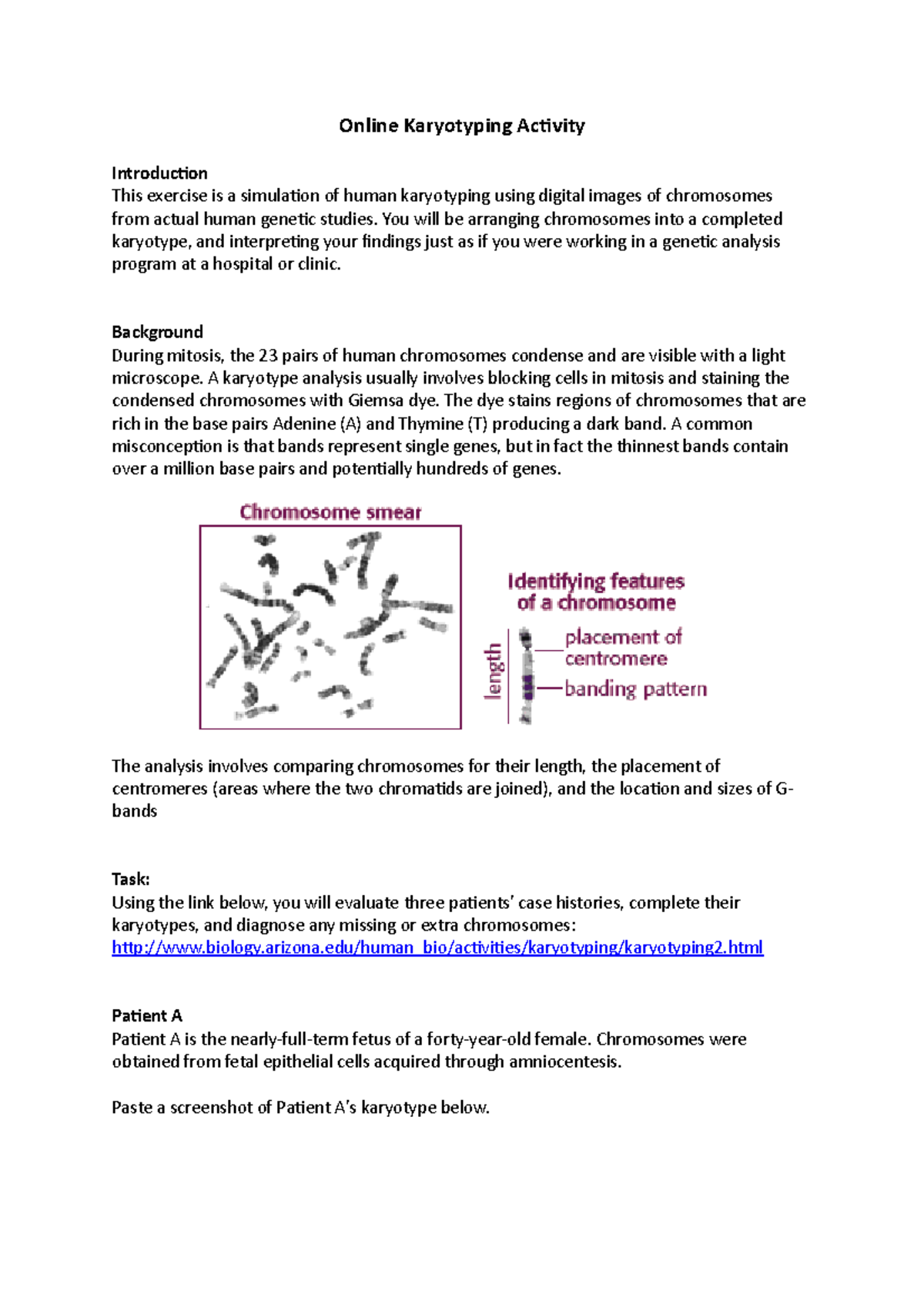 Online Karyotyping Activity - Online Karyotyping Activity Introduction This exercise is a ...
