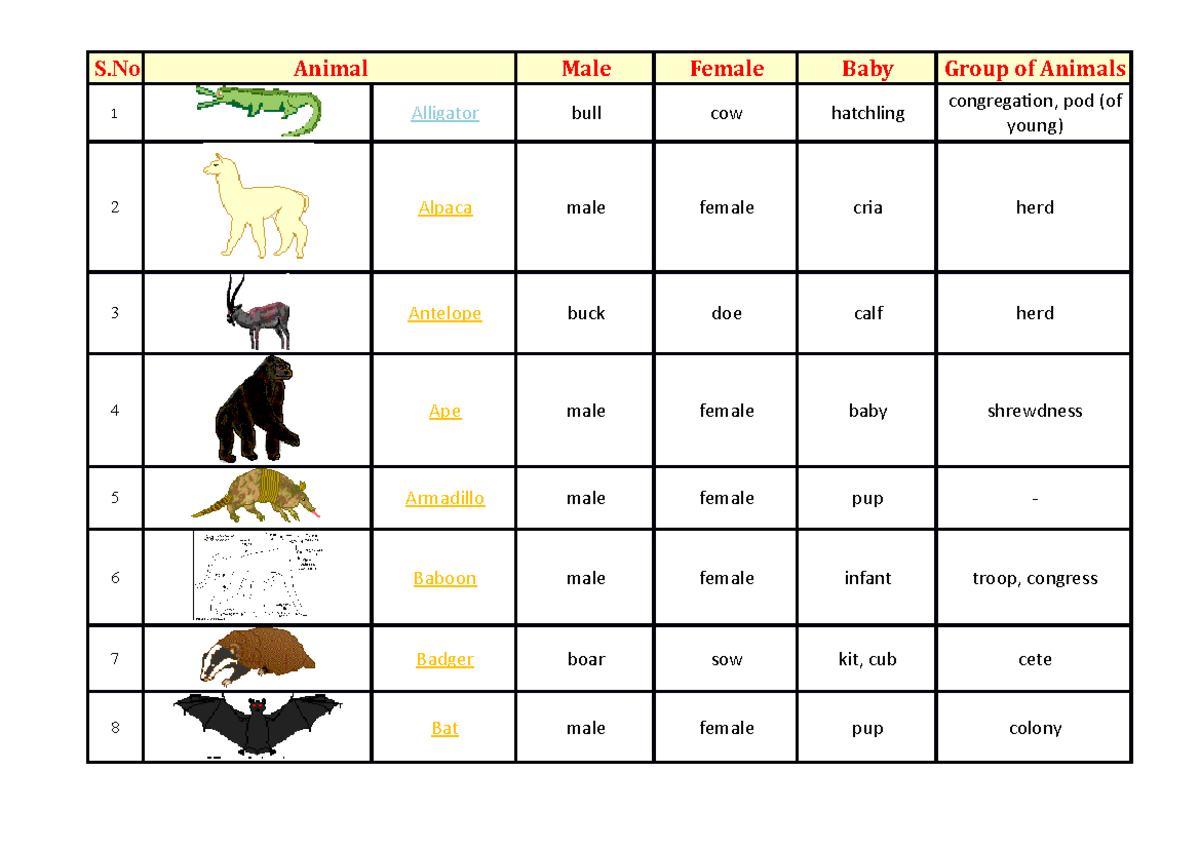 Animal Family - S Animal Male Female Baby Group of Animals 1 Alligator ...