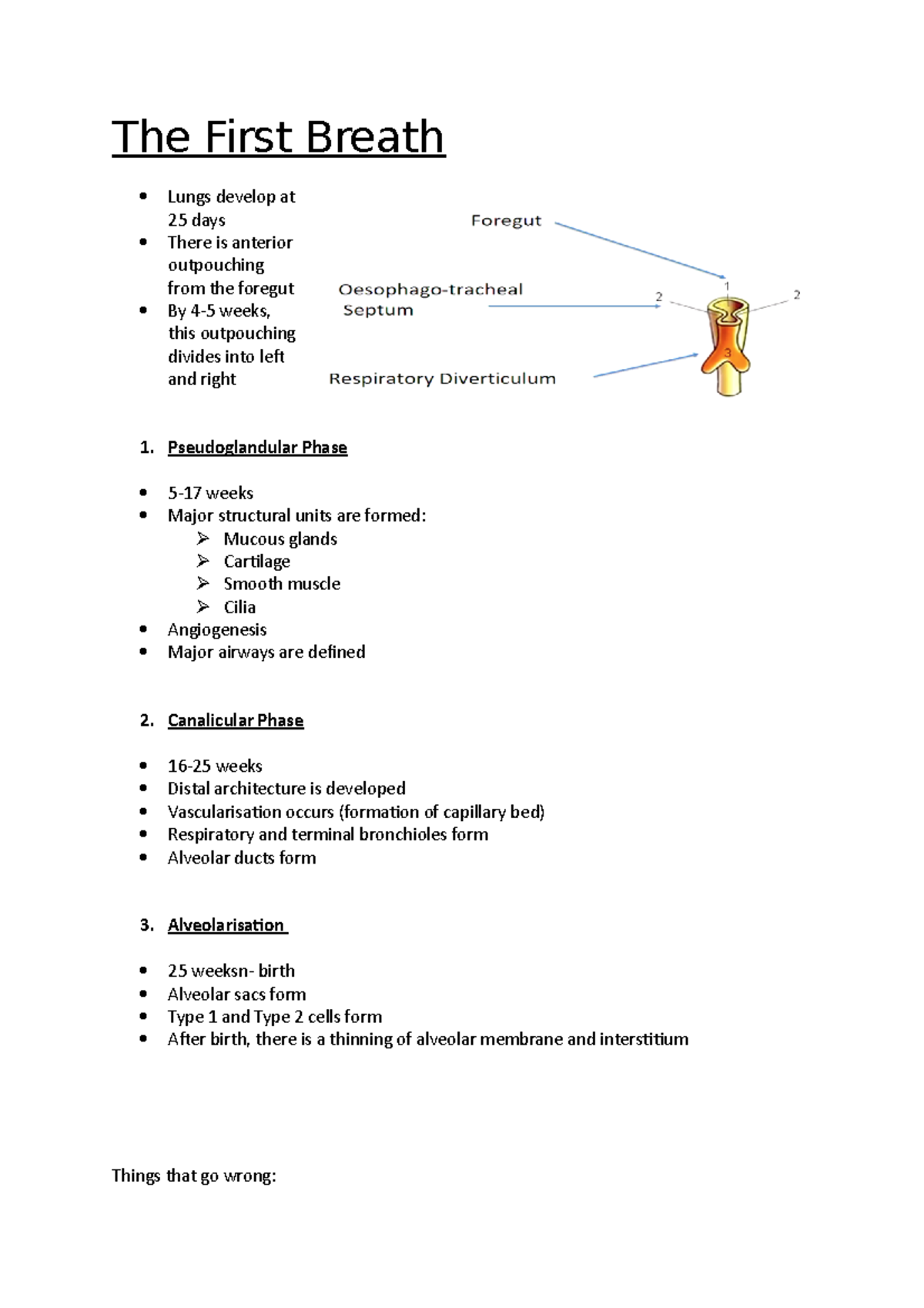 The First Breath - Medicine 1st year notes - The First Breath Lungs ...