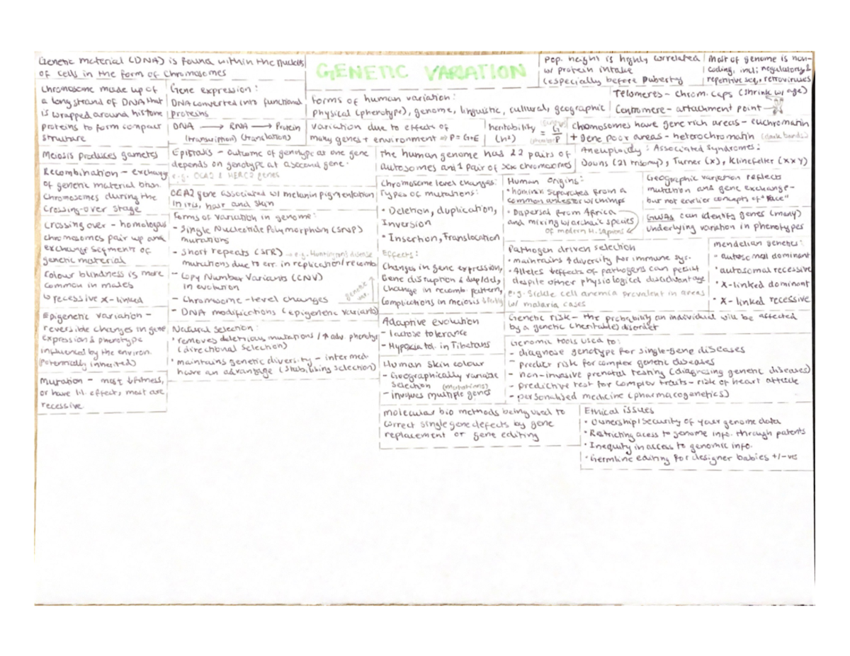 BIOL1008 Summary Notes - Human Variation - BIOL1008 - Studocu