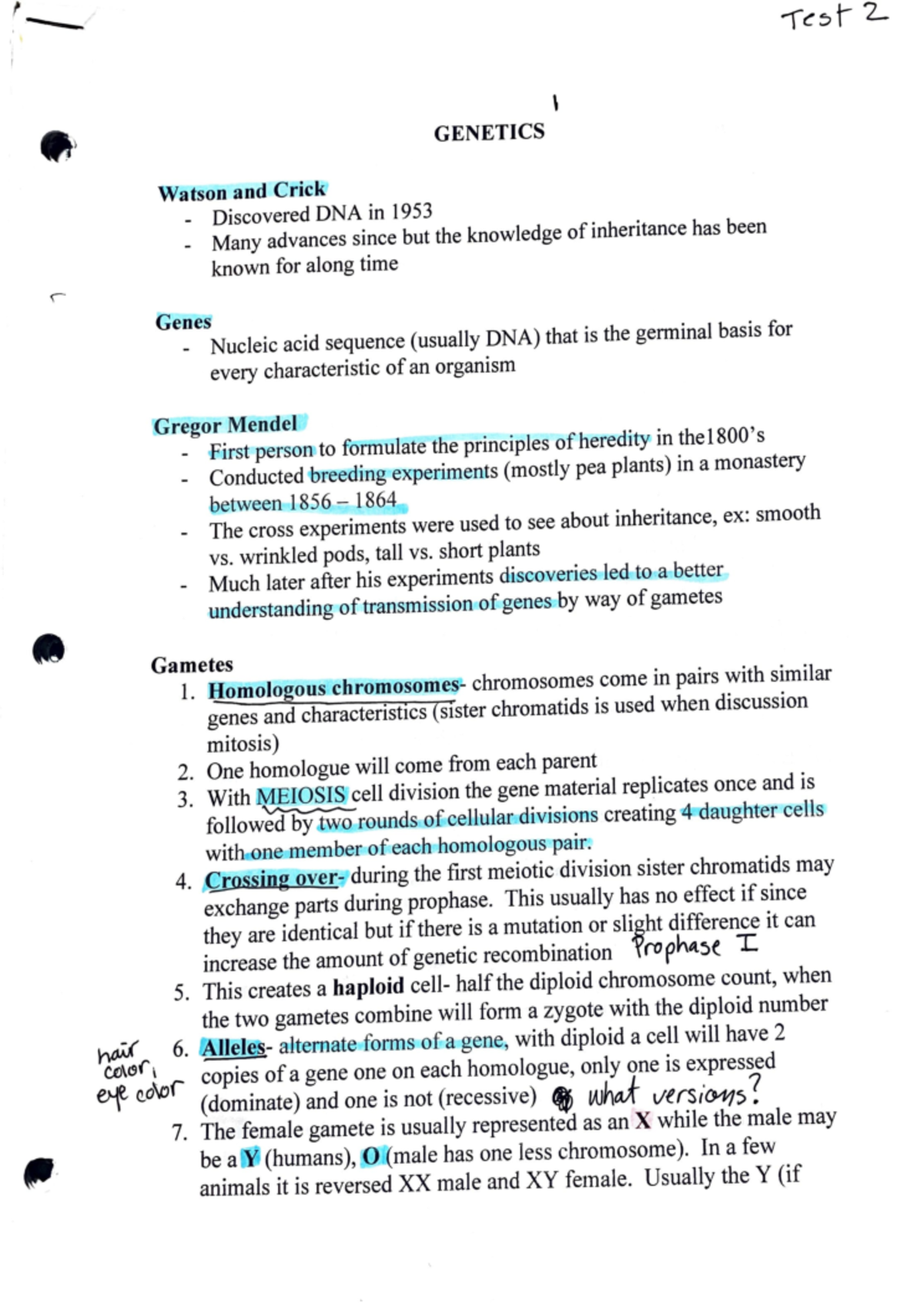 Zoology BIOL-1413 Genetics - GENETICS Watson and Crick - Discovered DNA ...