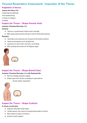 A focused respiratory assessment is a systematic examination of the ...