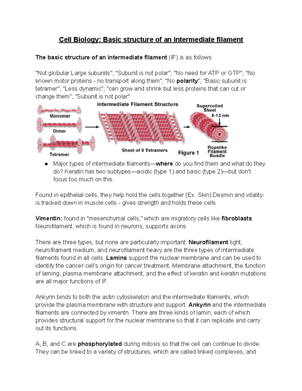 Cell Biology Basic structure of an intermediate filament - Found in ...