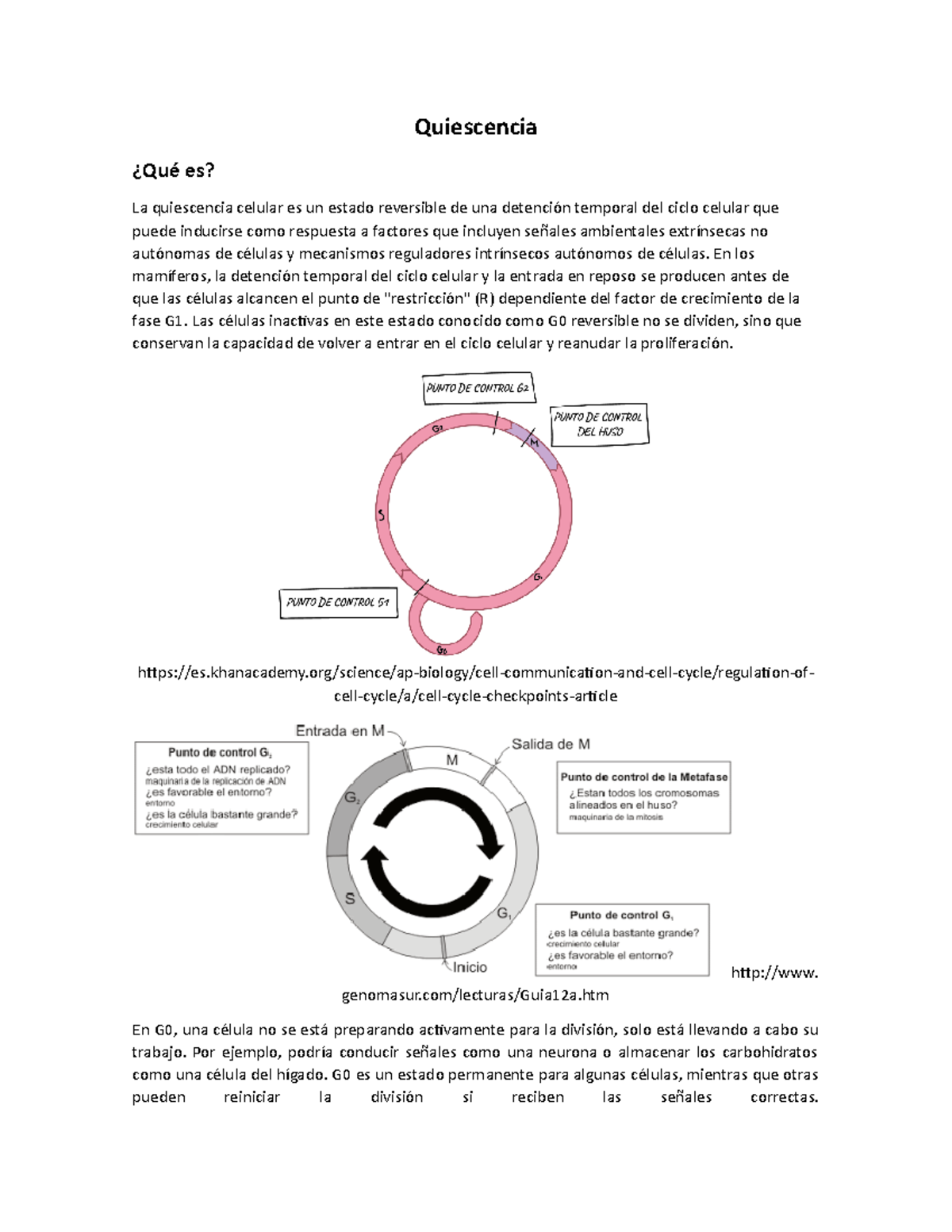 Quiescencia - Apuntes 1 - Quiescencia ¿Qué es? La quiescencia celular ...