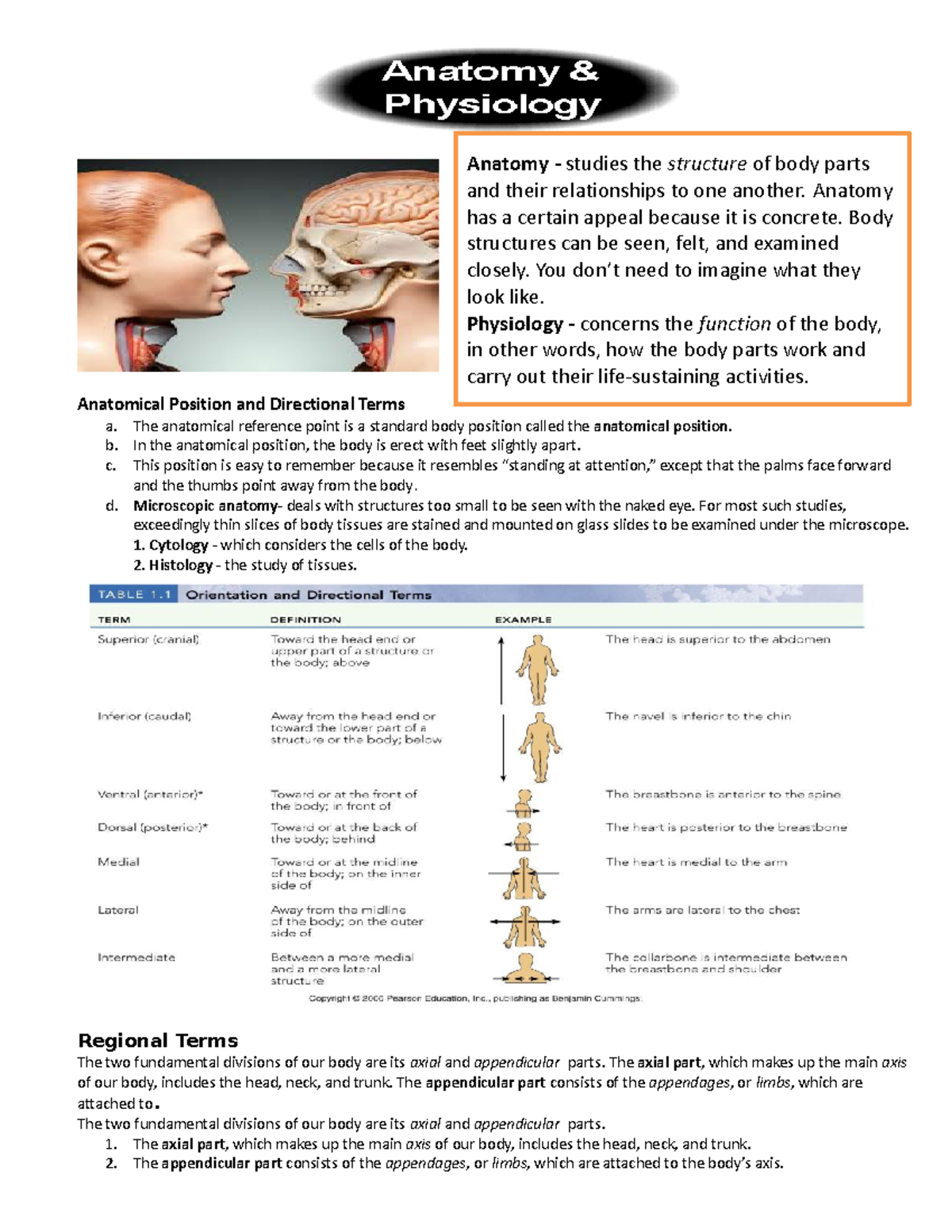 Anatomy and Physiology 2021 - Anatomical Position and Directional Terms ...