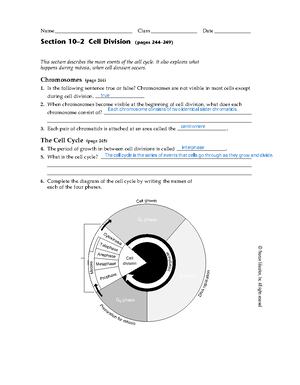 Meiosis Virtual Lab Gizmo ffiiwkiwirwrpwkop - Name: Date: Student ...